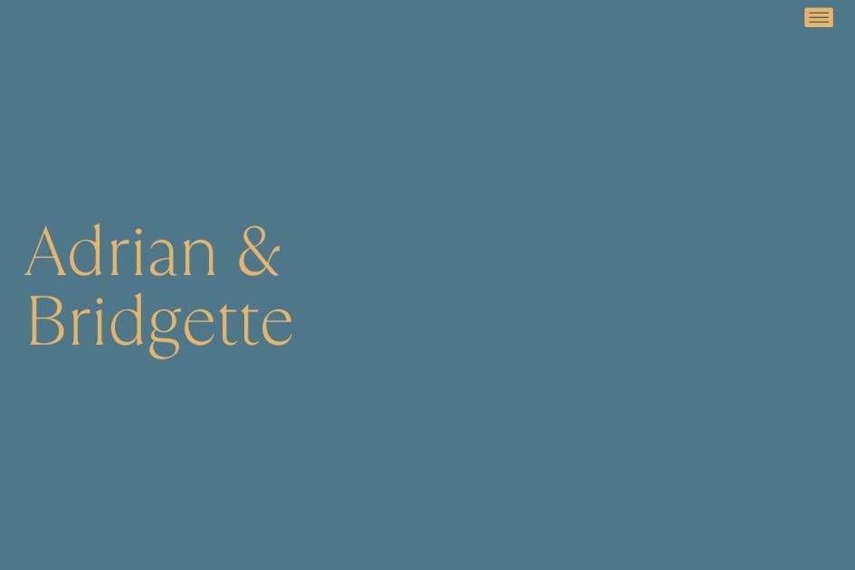 Great Wedding Websites - Check out the Adrian Design at B&B