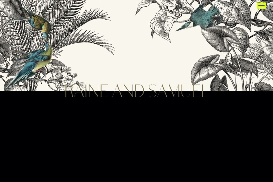 Great Wedding Websites - Check out the Raine Design at B&B