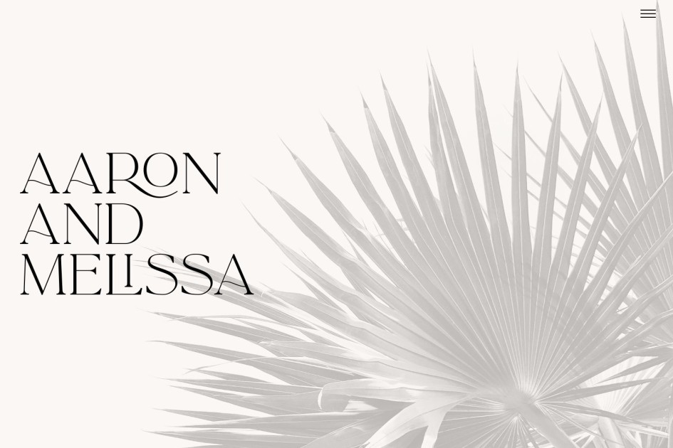 Great Wedding Websites - Check out the Aaron Design at B&B